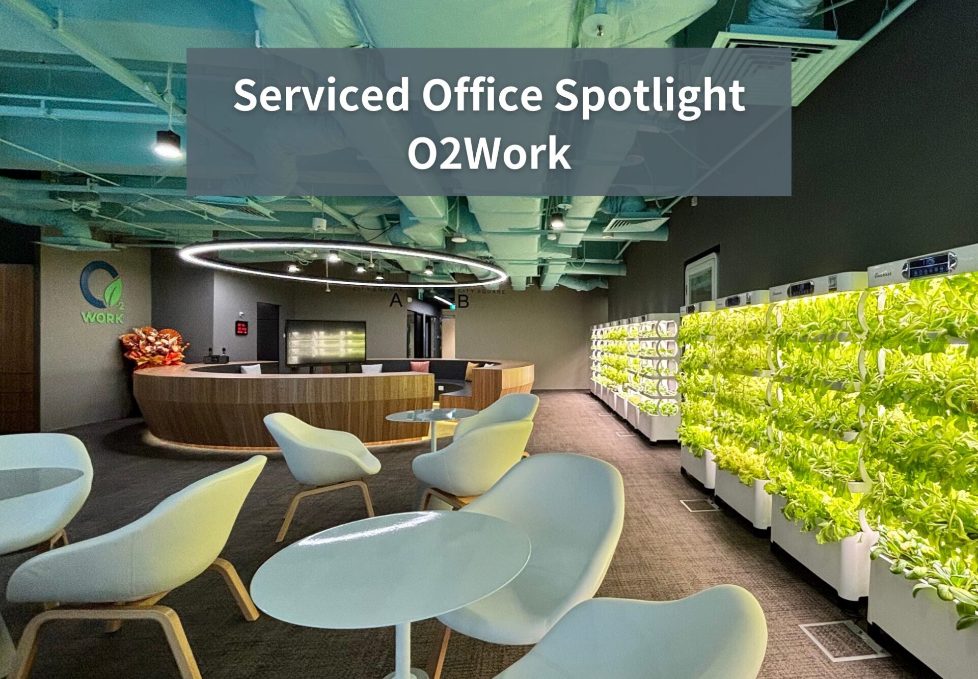 Serviced Office Spotlight: O2Work – A Green Workspace Where You Can Even Get Vegetables｜OFFICE ...